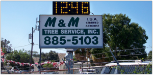 Contact Us | M & M Tree Service